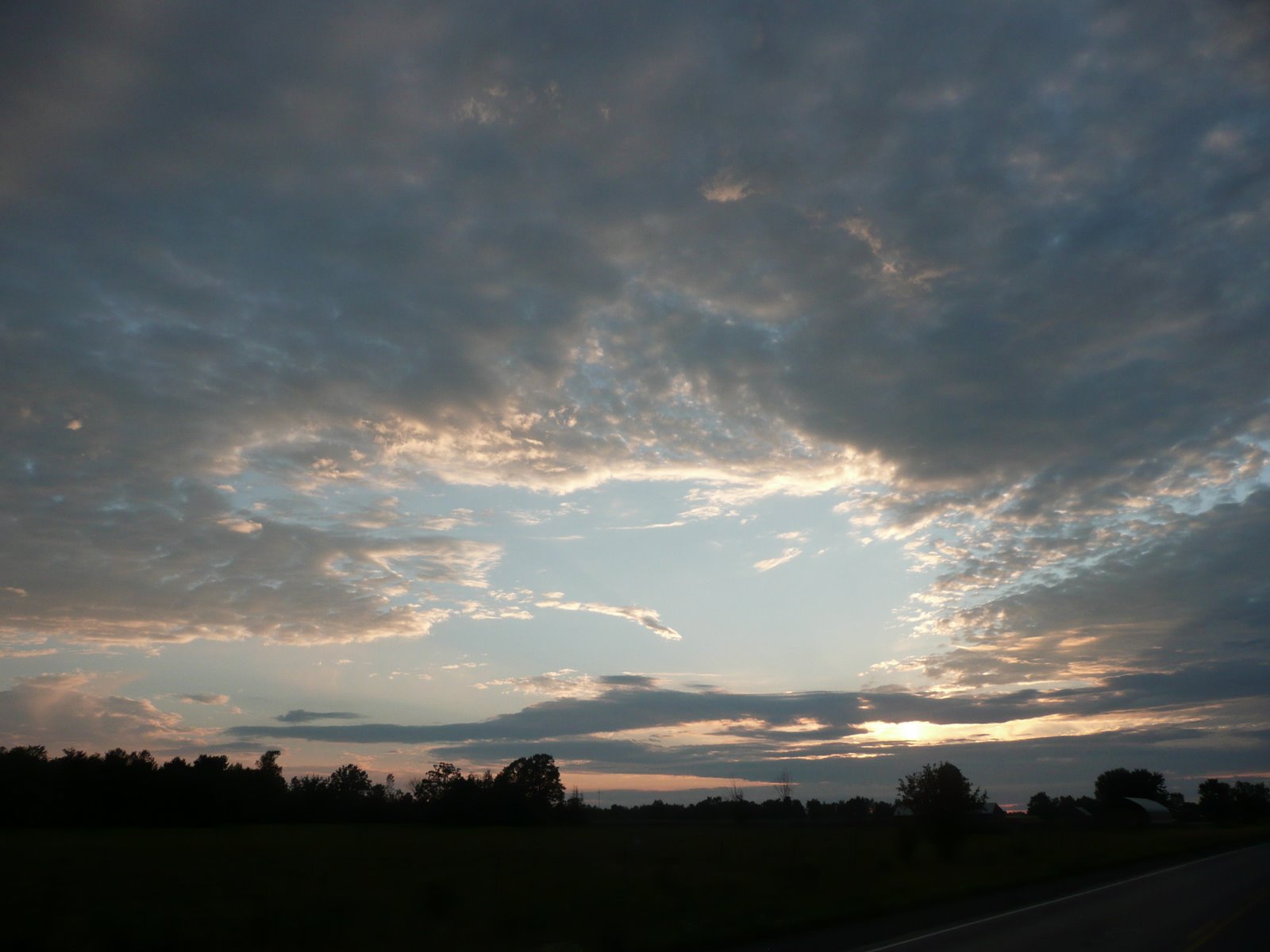 What Do You Know About Vanity Galleries? - Diane Duncan Art